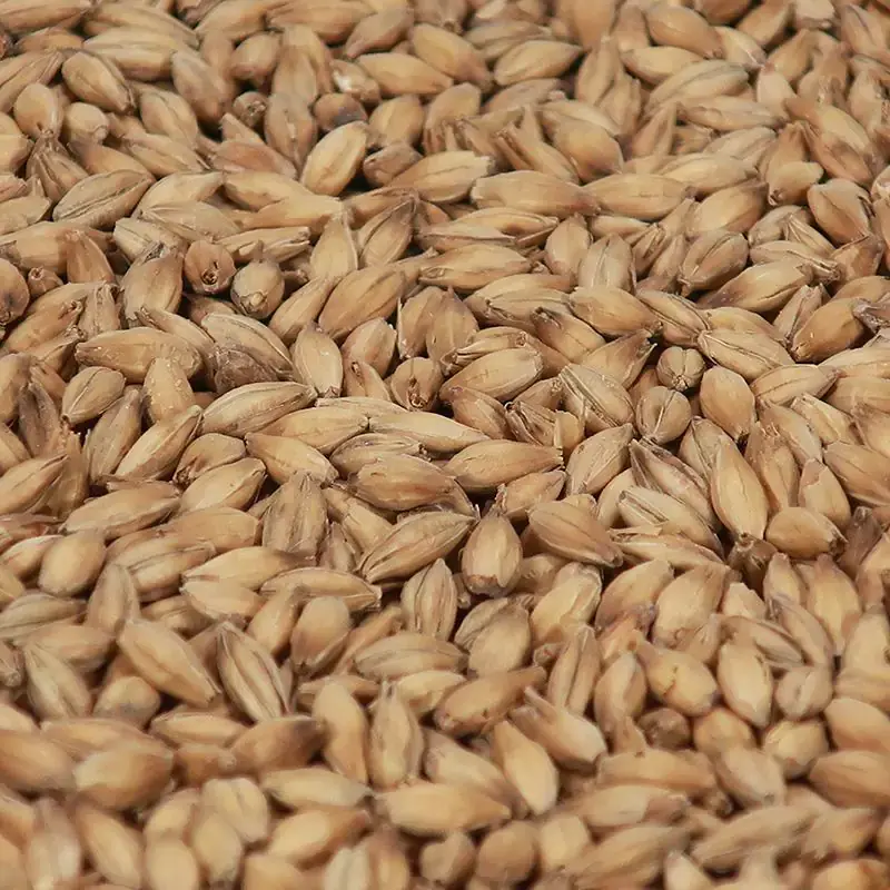 Vienna Malt, Organic - Castle Malting