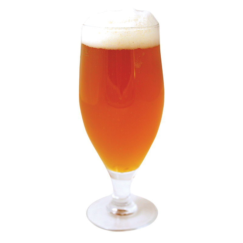 White House Honey Ale All-Grain Brewing Kits